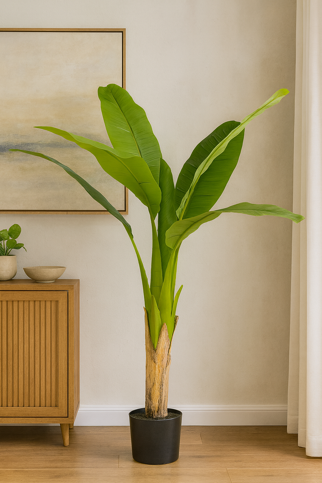PLANTE "ARBRE BANANIER"
