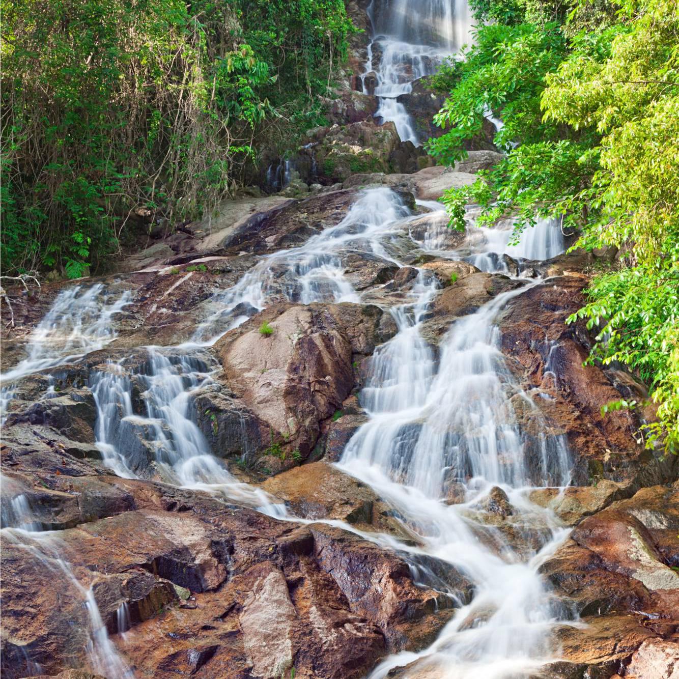 Jungle Safari Tour en 4x4 : Koh Samui en français