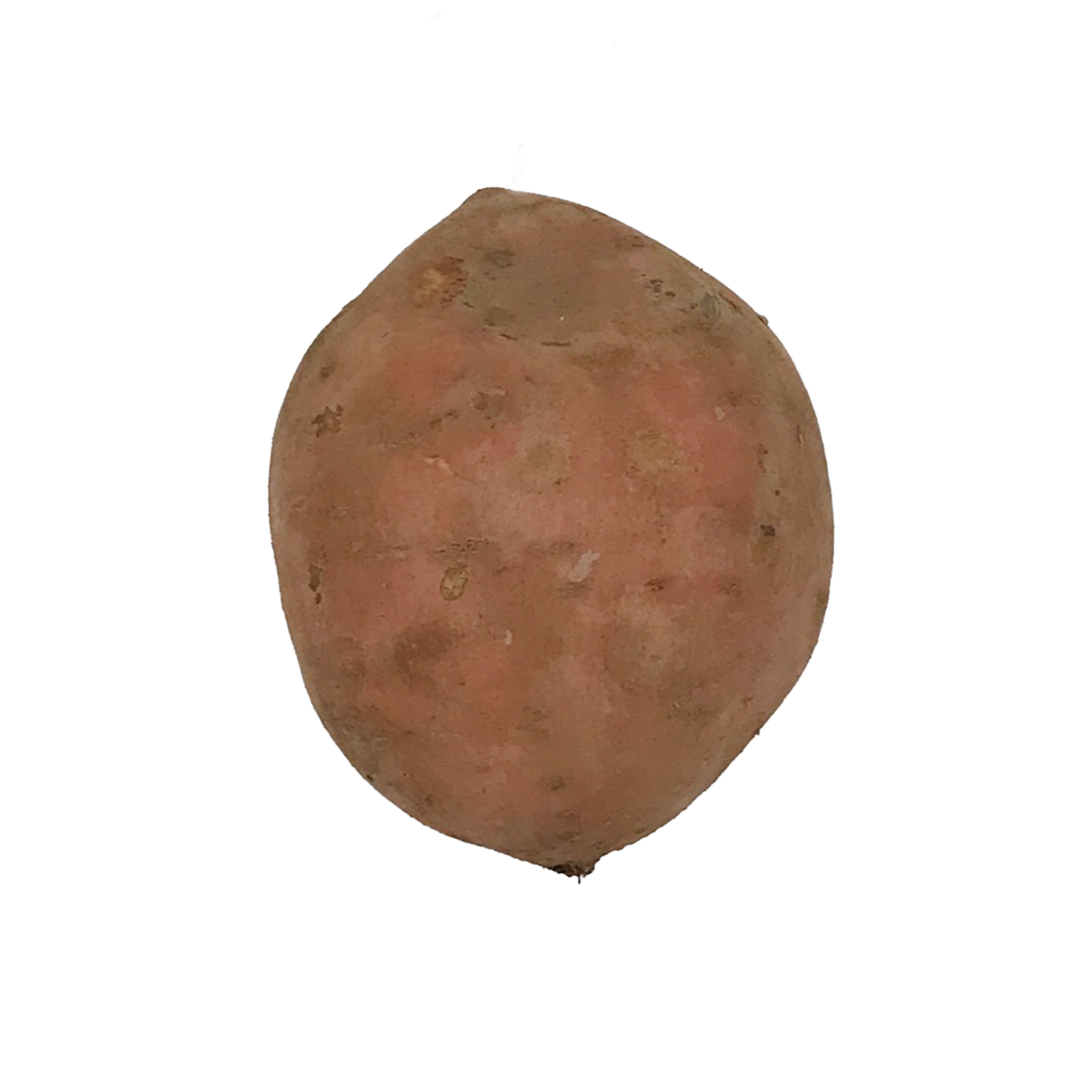 BATATA CHINA