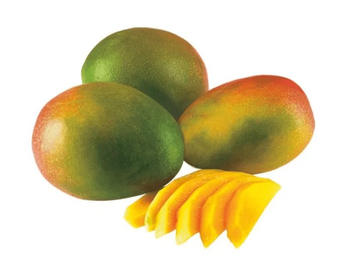 Mango Kent X Kg