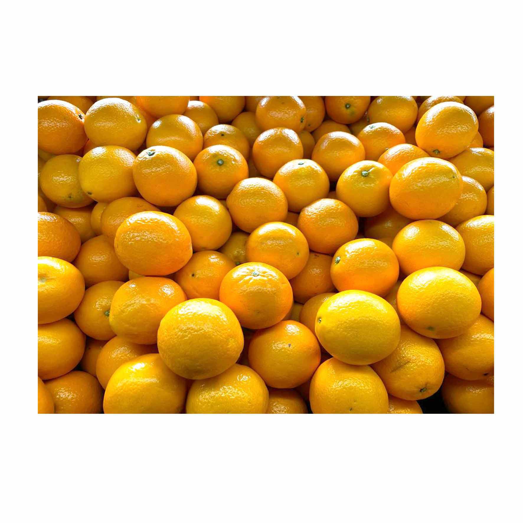 Navel Orange