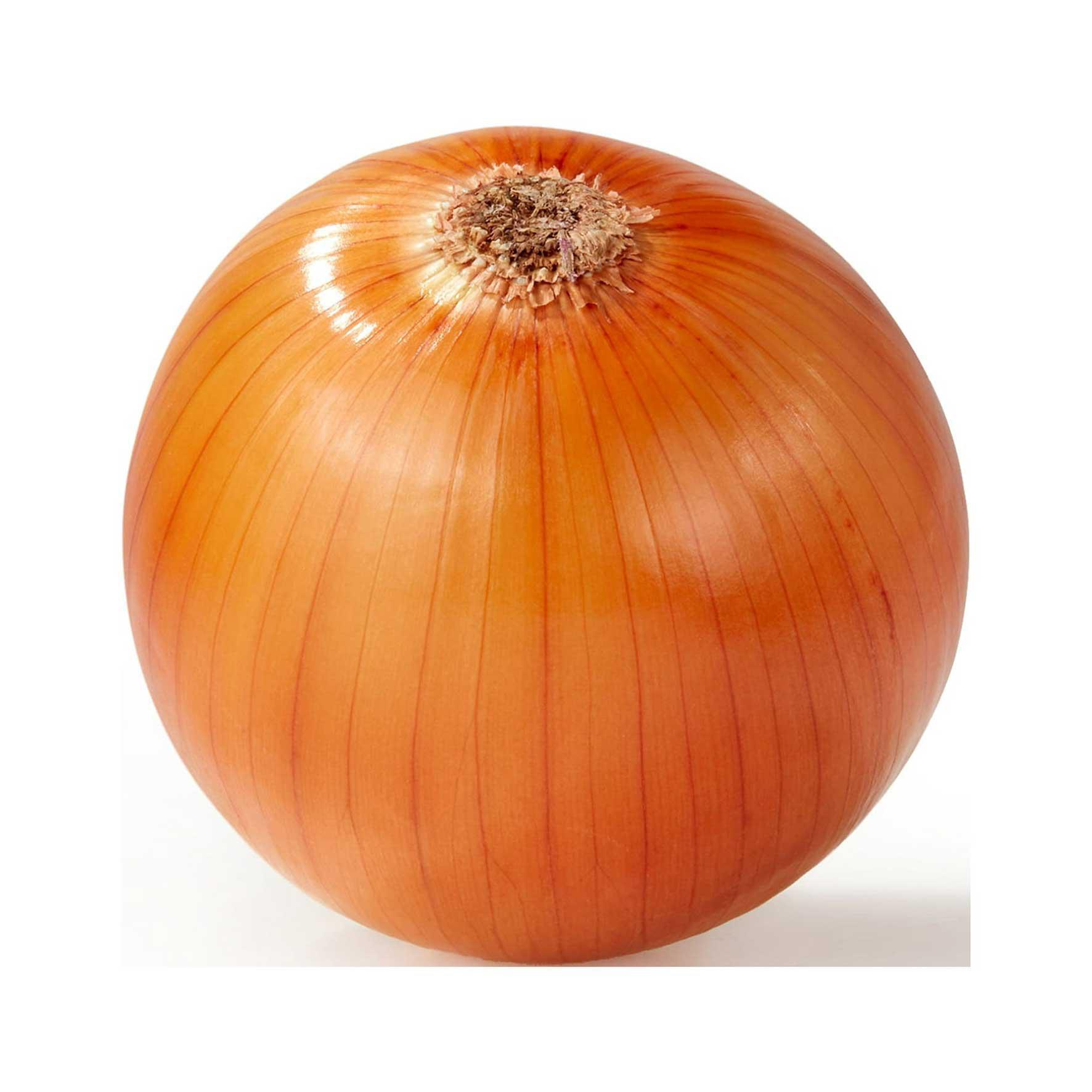 Yellow Onion