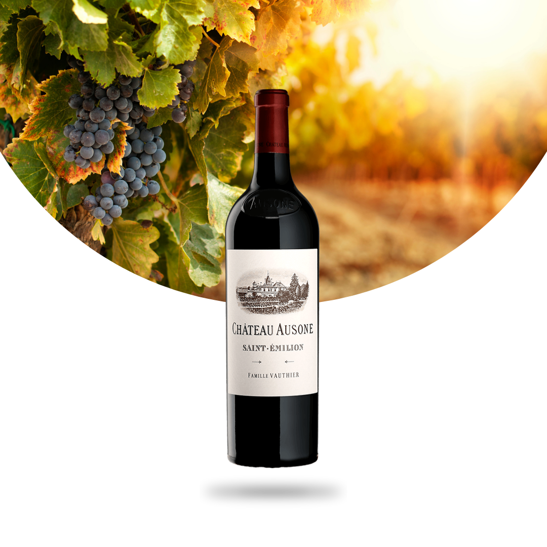 Château Ausone "2020 Saint-Émilion"
